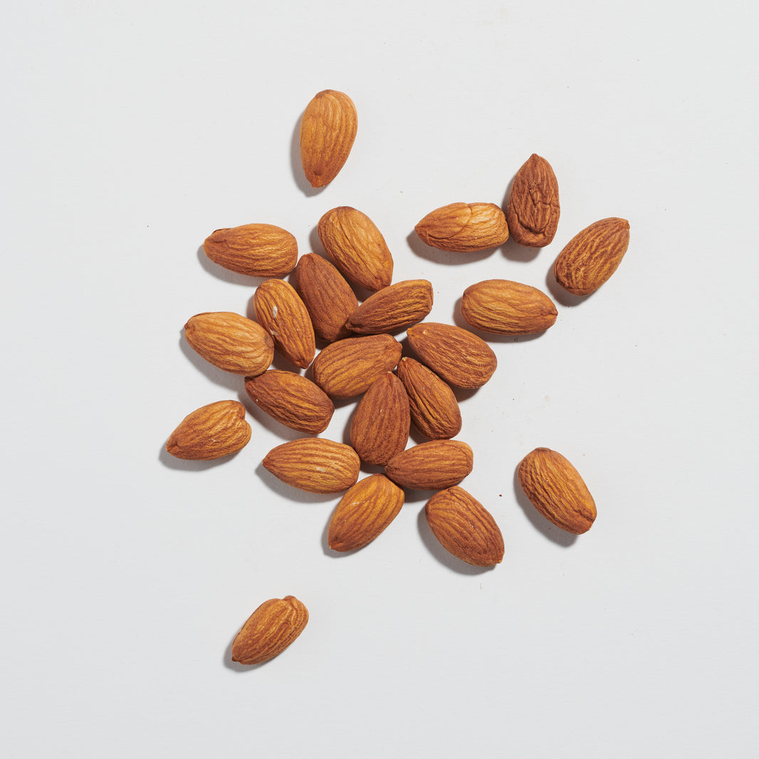 Willow Tree Nut Starter - A New Way To Go Nuts – Willow Tree Foods