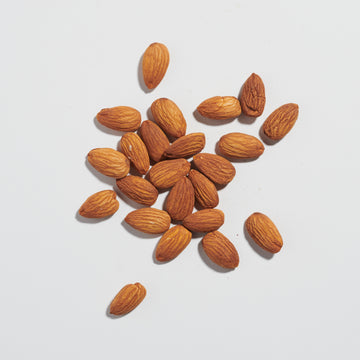 Willow Tree Nut Starter - A New Way To Go Nuts – Willow Tree Foods