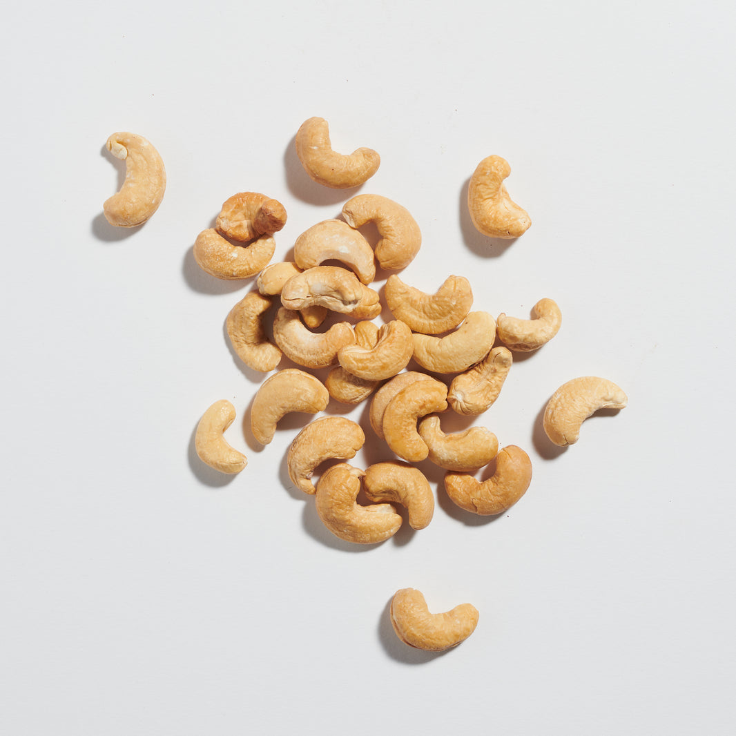 Willow Tree Nut Starter - A New Way To Go Nuts – Willow Tree Foods